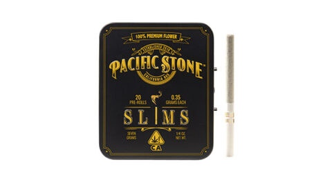 GG4 Strain: A Complete Guide to its Genetics, Effects, and THC ...